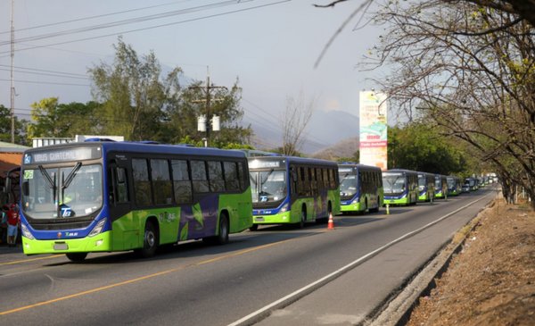 Video | Así son las unidades del trasporte Tu BUS que funcionará en 7 ...